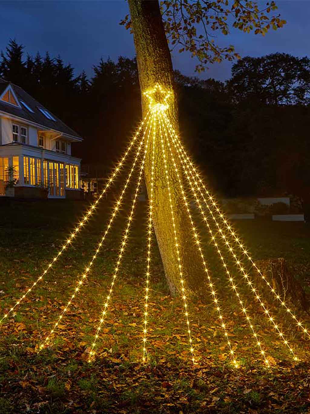 3M Shooting Star – Seasons Christmas Outlet