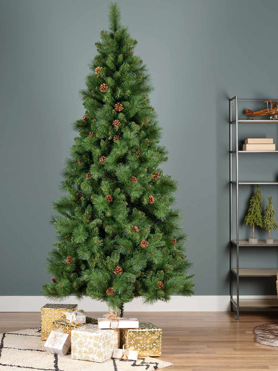 Norwich Pine Christmas Tree – Seasons Christmas Outlet