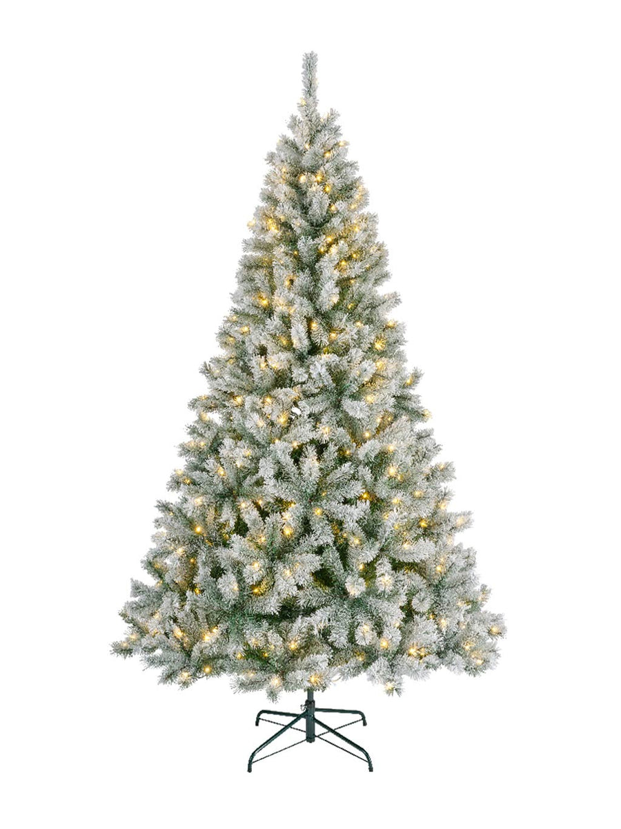 2.1M (7ft) Pre-Lit Frosted Canada Spruce Christmas Tree – Seasons ...