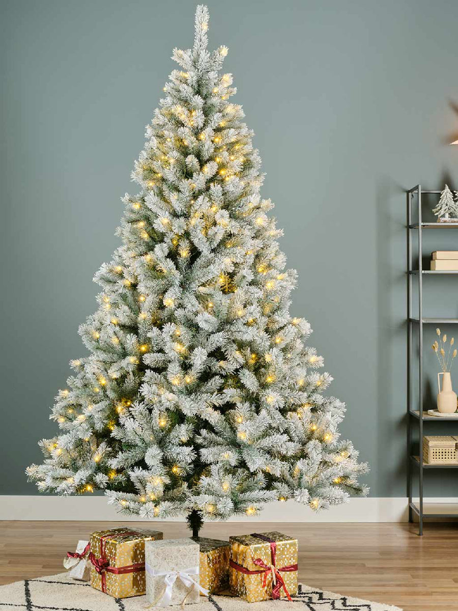 2.1M (7ft) Pre-Lit Frosted Canada Spruce Christmas Tree – Seasons ...