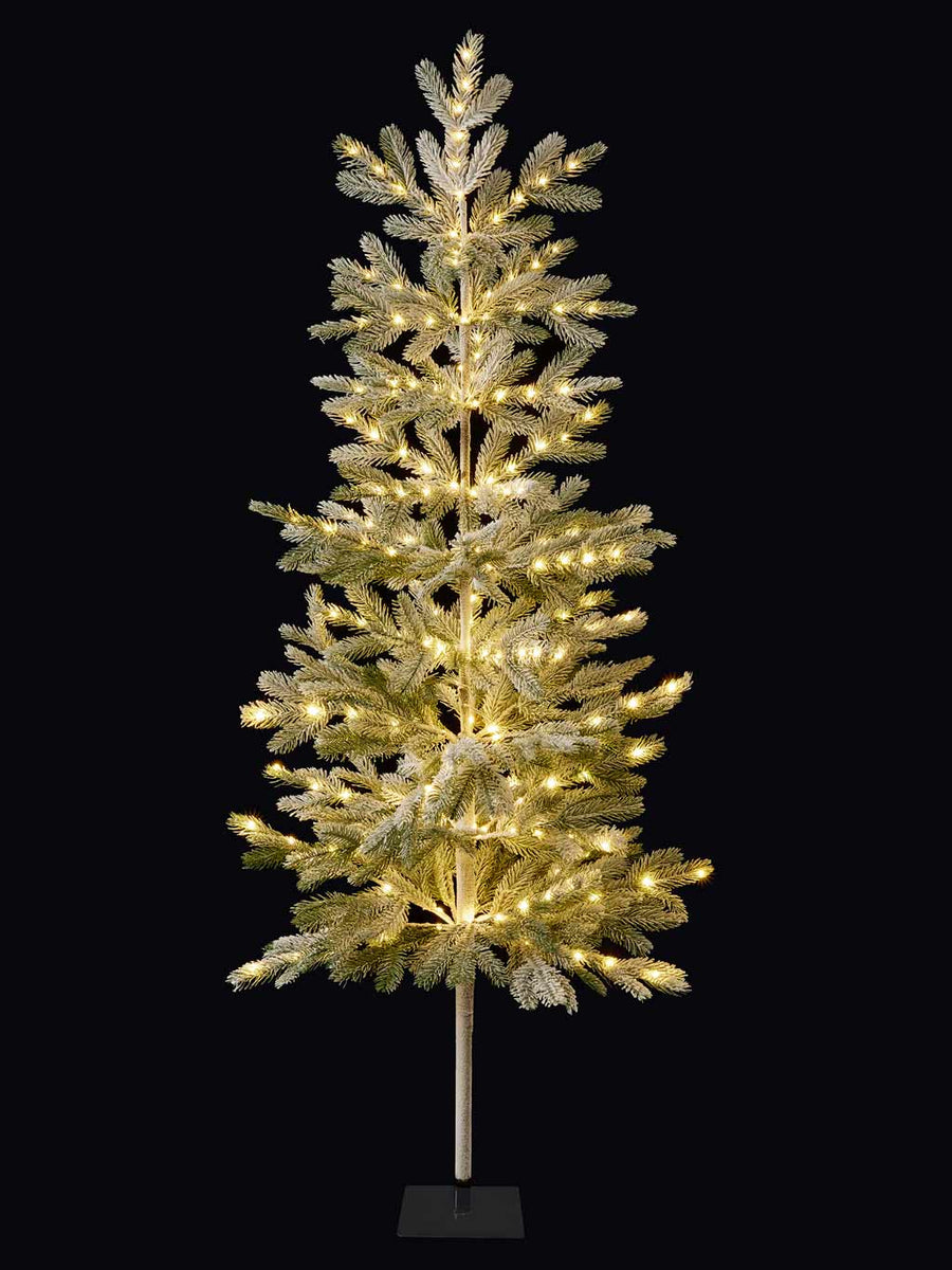 Lit Pine Needle Tree with Warm White LEDs – Seasons Christmas Outlet