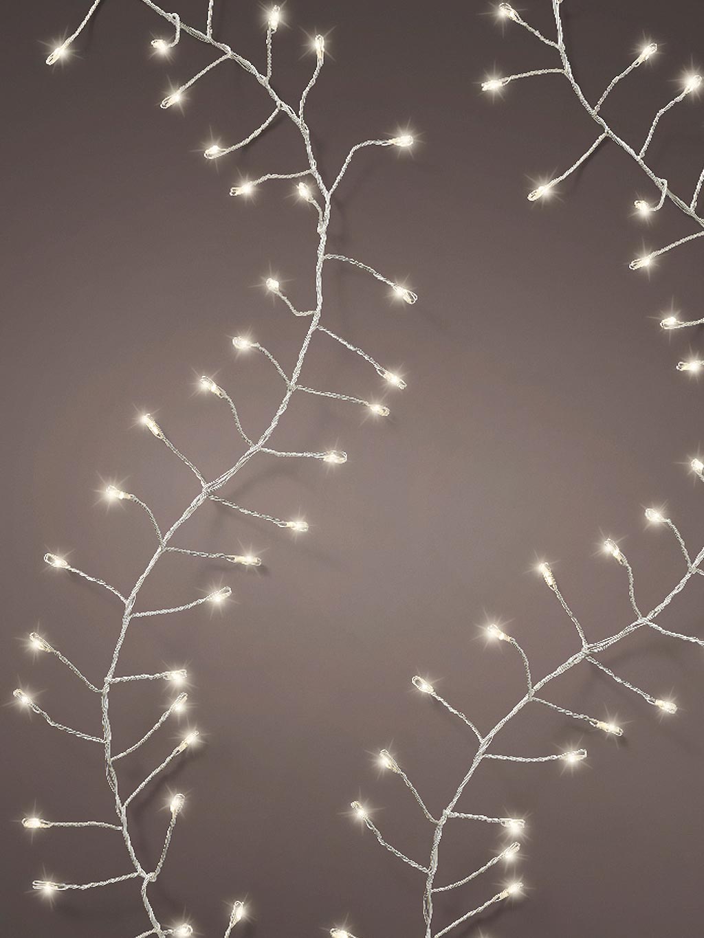 100 Micro LED Battery Operated Static Compact Lights – Seasons ...