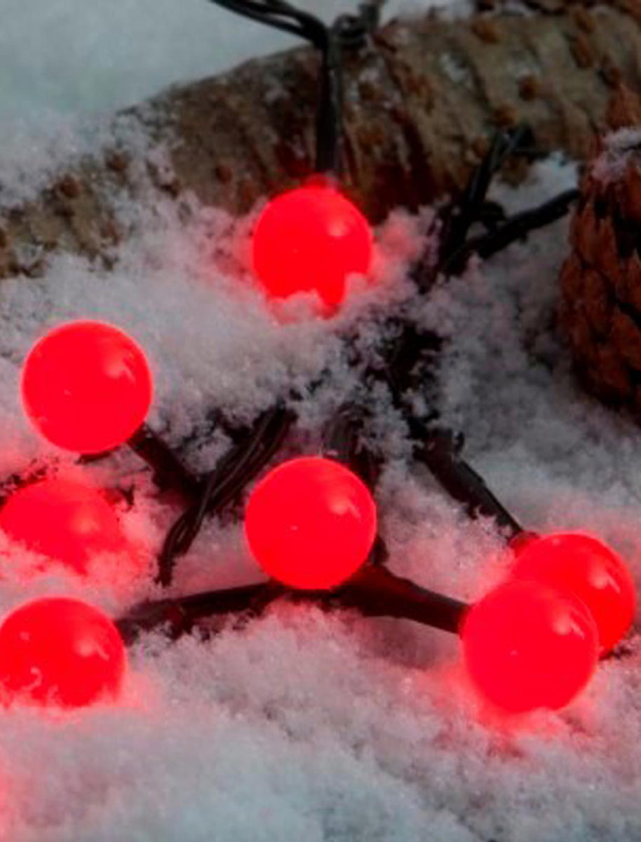 50 LED Battery Operated Berry Lights - Red – Seasons Christmas Outlet